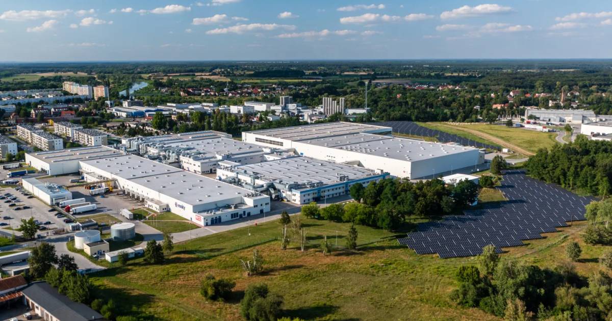 Nowy dyrektor fabryki Essity w Oławie i jego plany rozwoju firmy ...